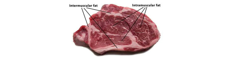 Meathead Talks: Basic Meat Science For Cooks – UMAi Dry